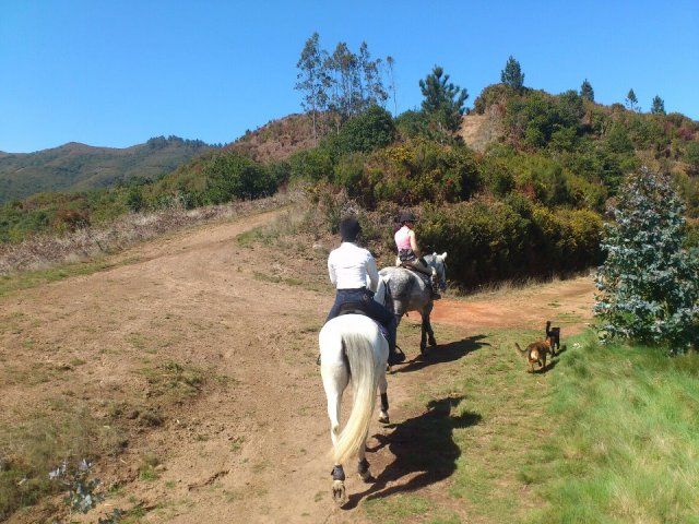 Horse Riding in Madeira